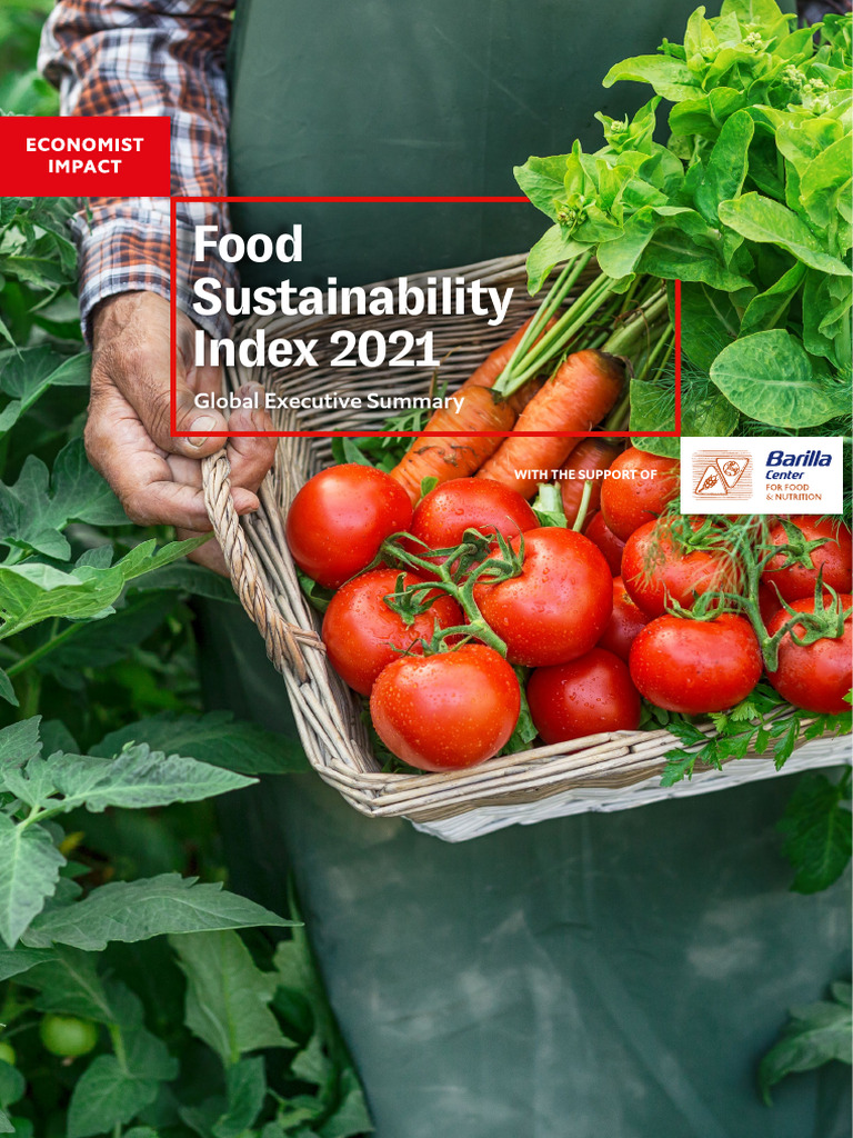 FSI 2021 Global Executive Summary | PDF | Malnutrition | Sustainability