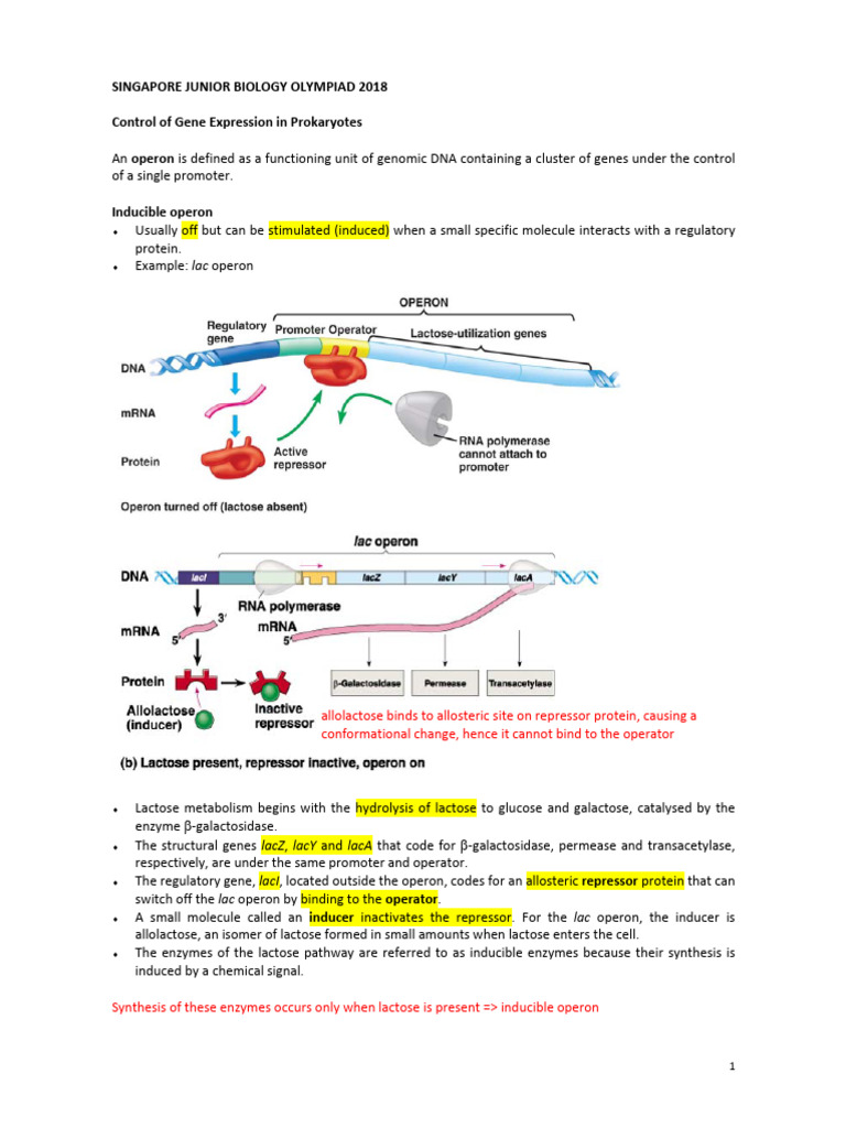 Control of Gene Expression | PDF | Operon | Repressor