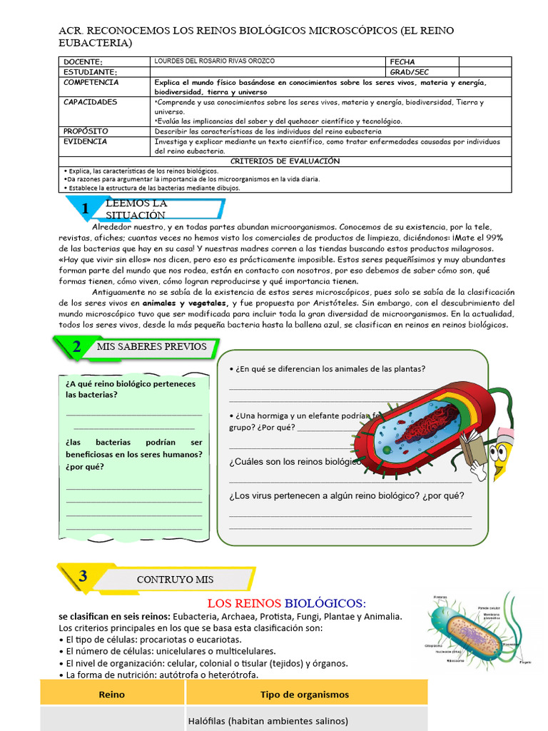 C-1º Act 2 Cyt Unid 1 - Sem 3 | PDF | Las bacterias | Biología Celular)