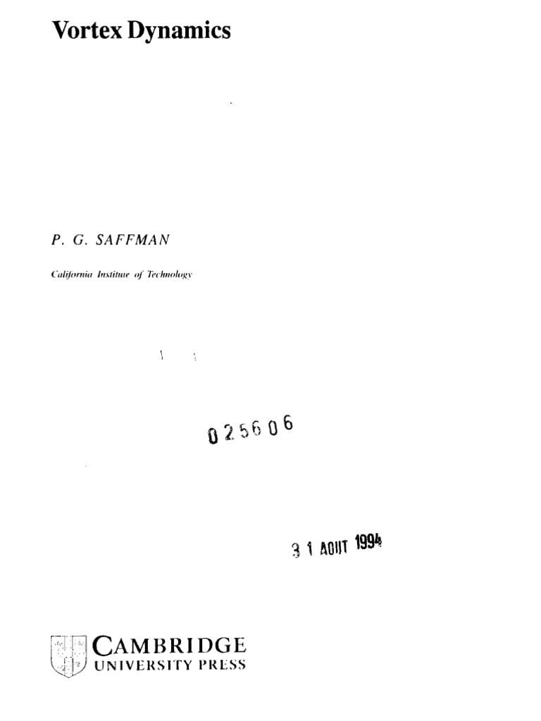 Vortex Dynamics (PDFDrive) | PDF