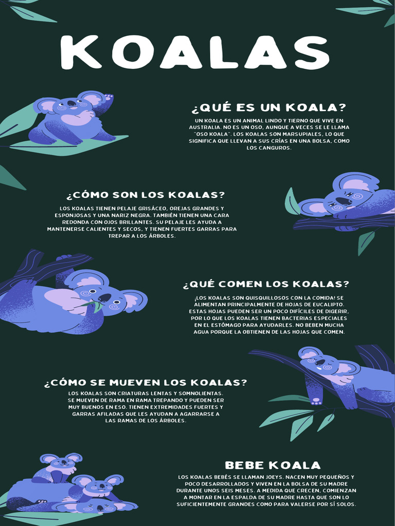 Koalas Infografía Educativa Verde Azul Creativo | PDF