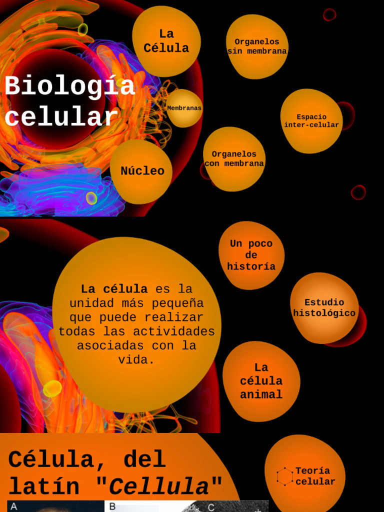 1 Biologia Celular | PDF