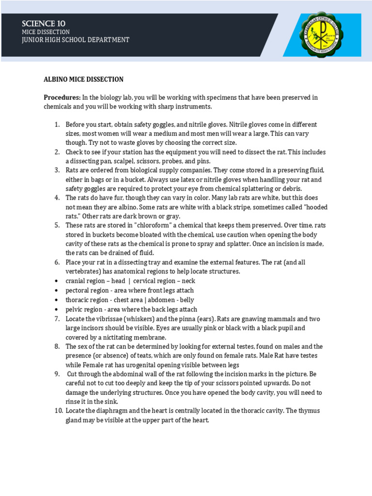 ALBINO-MICE-DISSECTION | PDF | Small Intestine | Stomach