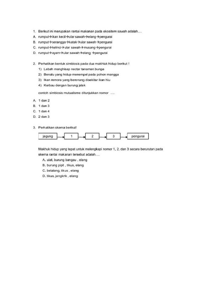 Soal Ipa Kls 6 | PDF