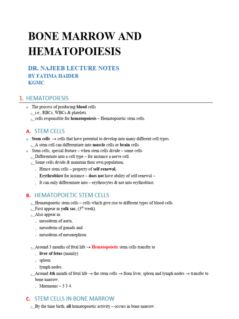Hematopoiesis & Bone Marrow Guide | PDF | Haematopoiesis | Bone Marrow