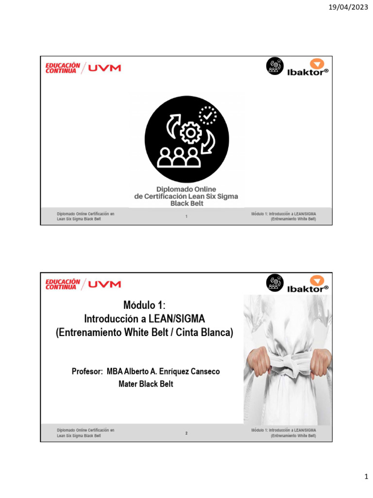 Clases Semana3 M1 Bbel AEC | PDF | Six Sigma