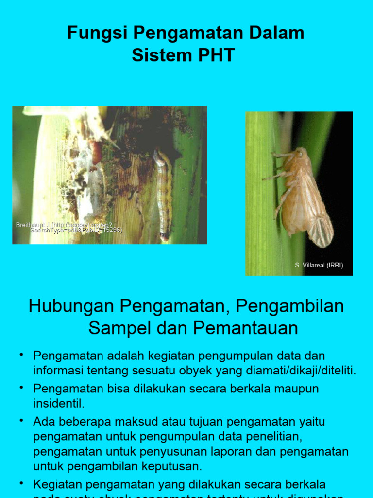 Fungsi Pengamatan Dalam PHT | PDF