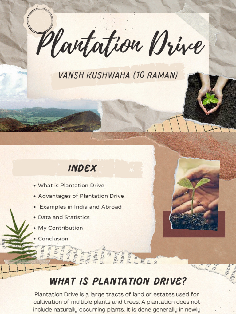 Plantation Drive | PDF | Trees | Soil