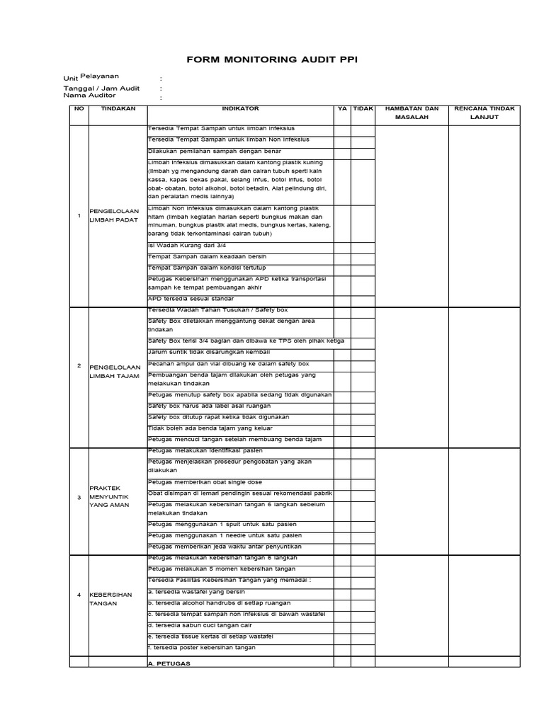 Form Audit Program Ppi | PDF