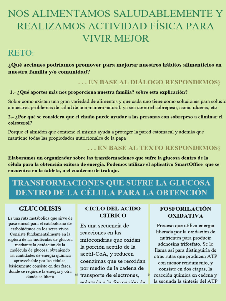 Nos Alimentamos Saludablemente y Realizamos Actividad Física para Vivir Mejor | PDF | Trifosfato ...