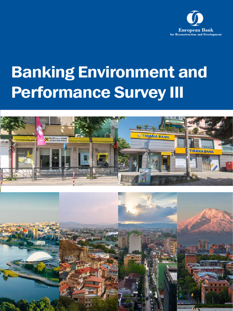 Beps III Final | PDF | Small And Medium Sized Enterprises | Banks