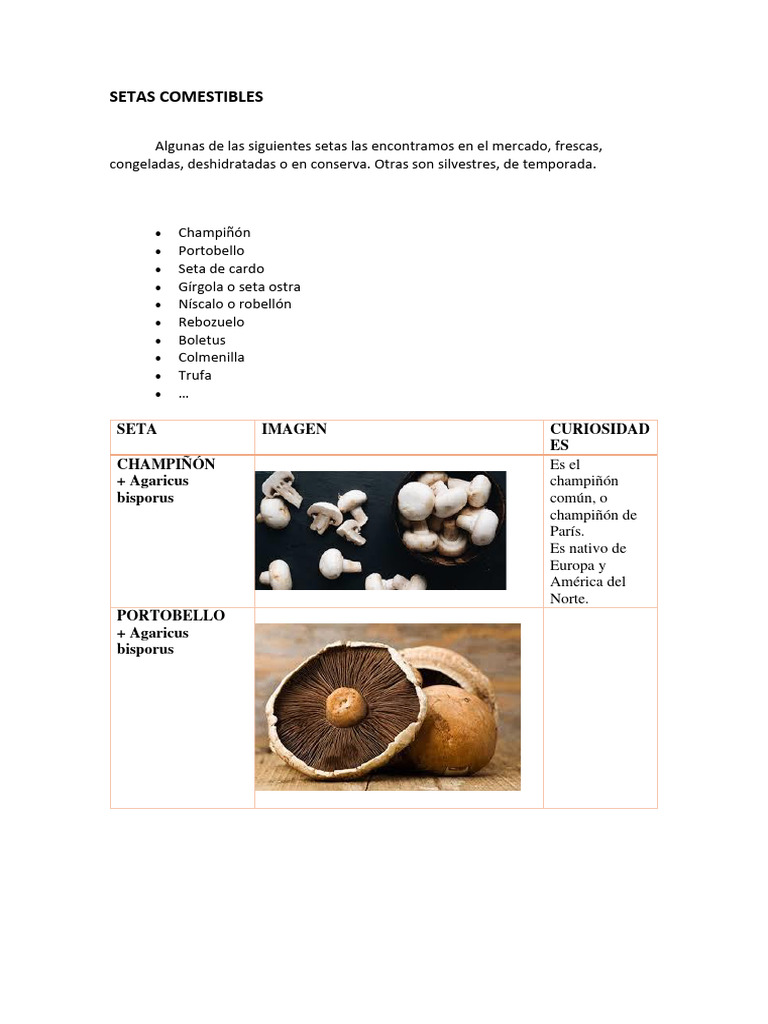 Información Sobre Setas y Algas. | PDF | Algas | Micología