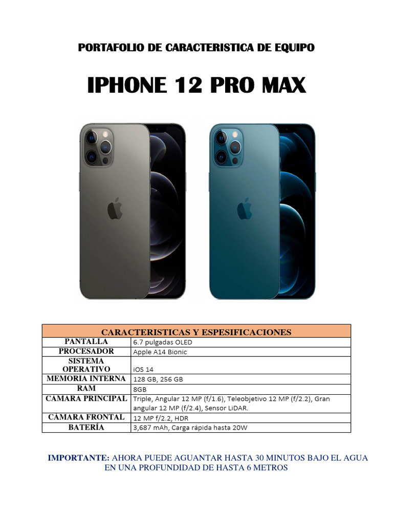 Caracteristicas Equipo Renovacion PDF | Descargar gratis PDF | Yo telefono | Teléfonos móviles