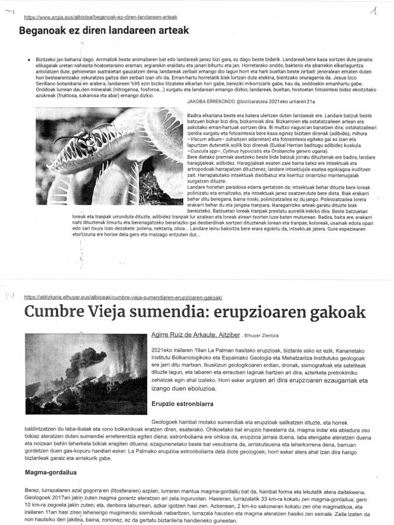 Artikulo Interesgarriak | PDF