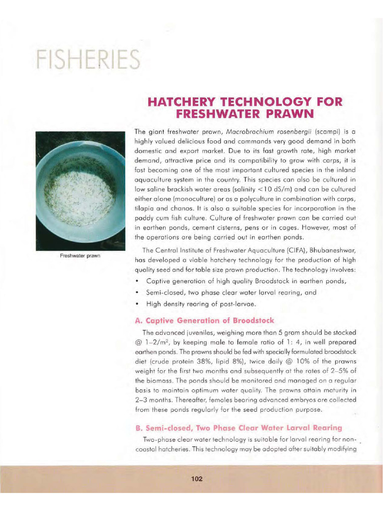 Fresh Water Prawn Hatchery Management | PDF