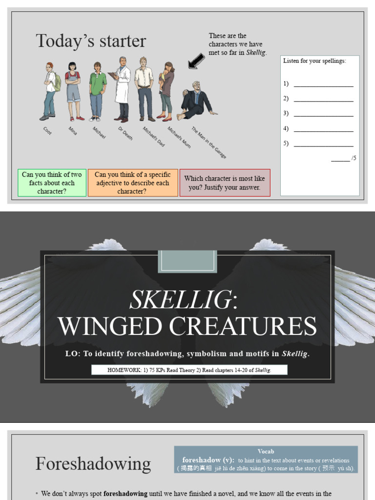 G7_Skellig_Lesson_03 | PDF