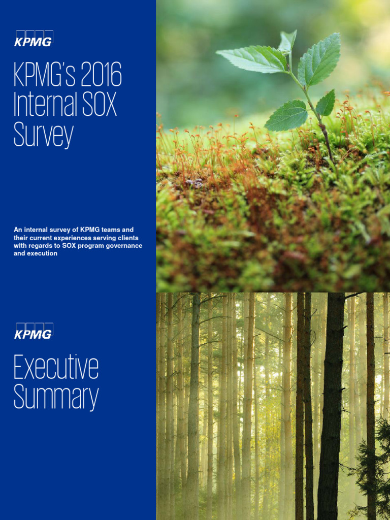 KPMG 2016 Internal Sox Survey Digital | PDF | Internal Audit | Sarbanes–Oxley Act