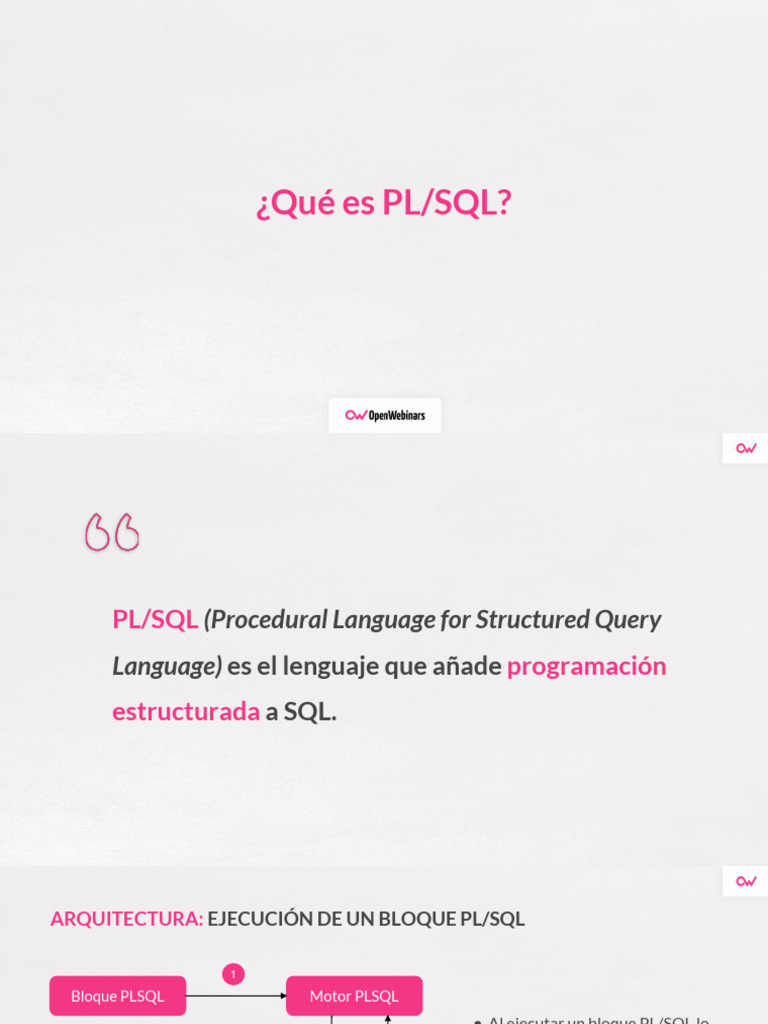2_Que_es_PLSQL | PDF | Pl / Sql | SQL