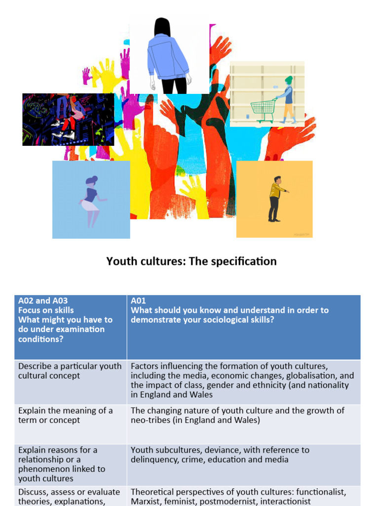 003 The History of Youth 1 | PDF | Sociology
