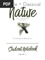 IHIP - 1st Grade | PDF | Reading (Process) | Reading Comprehension