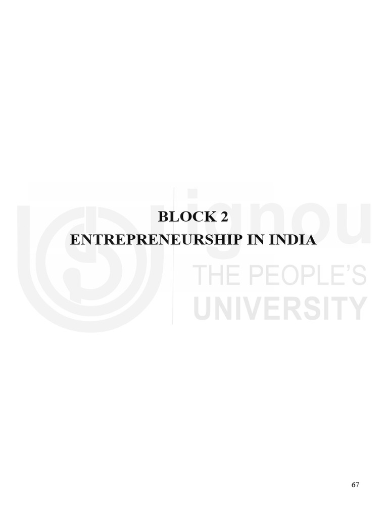 Block 2 | PDF | Small And Medium Sized Enterprises | Entrepreneurship
