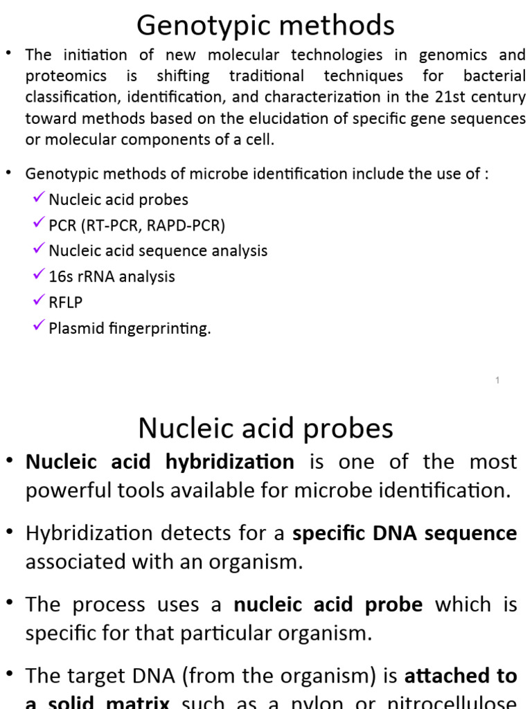 Genotypic Methods | PDF | Polymerase Chain Reaction | Dna Sequencing