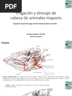 Aparato Renal Del Pollo | PDF | Riñón | Sistema urinario