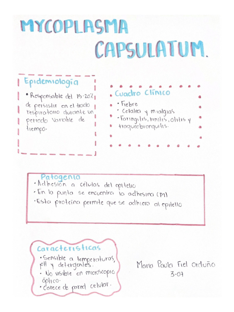 T26 - Fiel Orduño María Paula | PDF