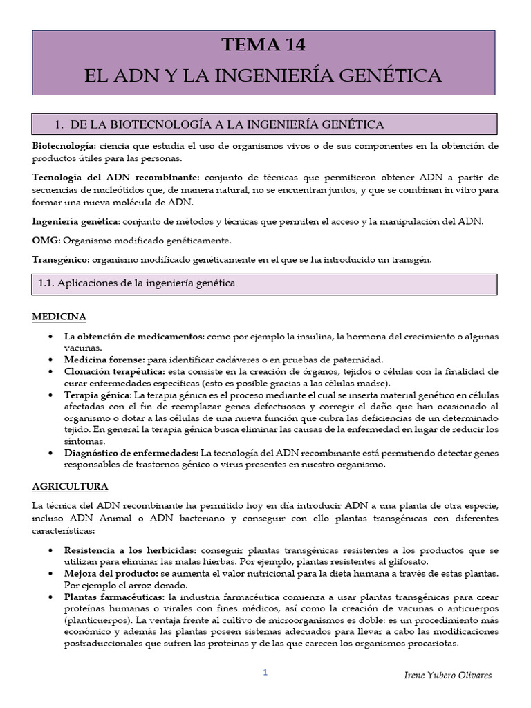 Resumen Tema 16 | PDF | Ingeniería genética | Adn