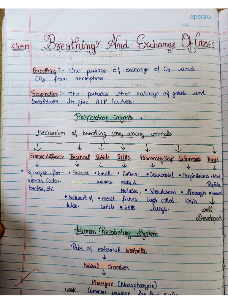 +1 (Biology Notes) | PDF