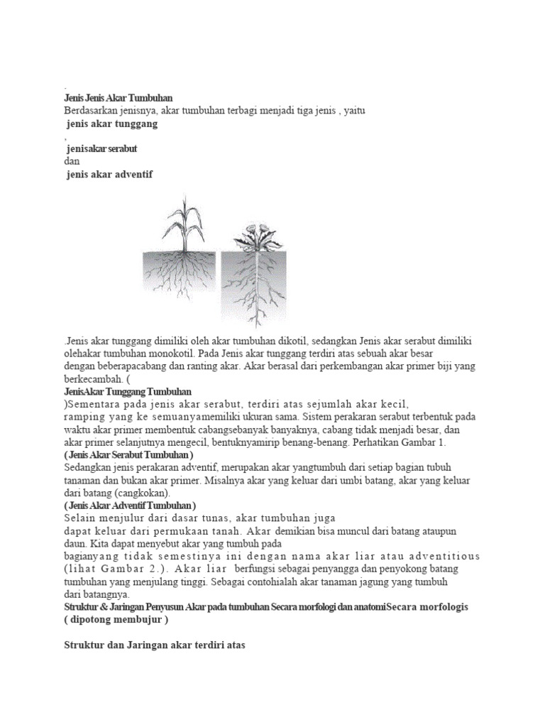 Jenis Jenis Akar Tumbuhan | PDF | Sains & Matematika