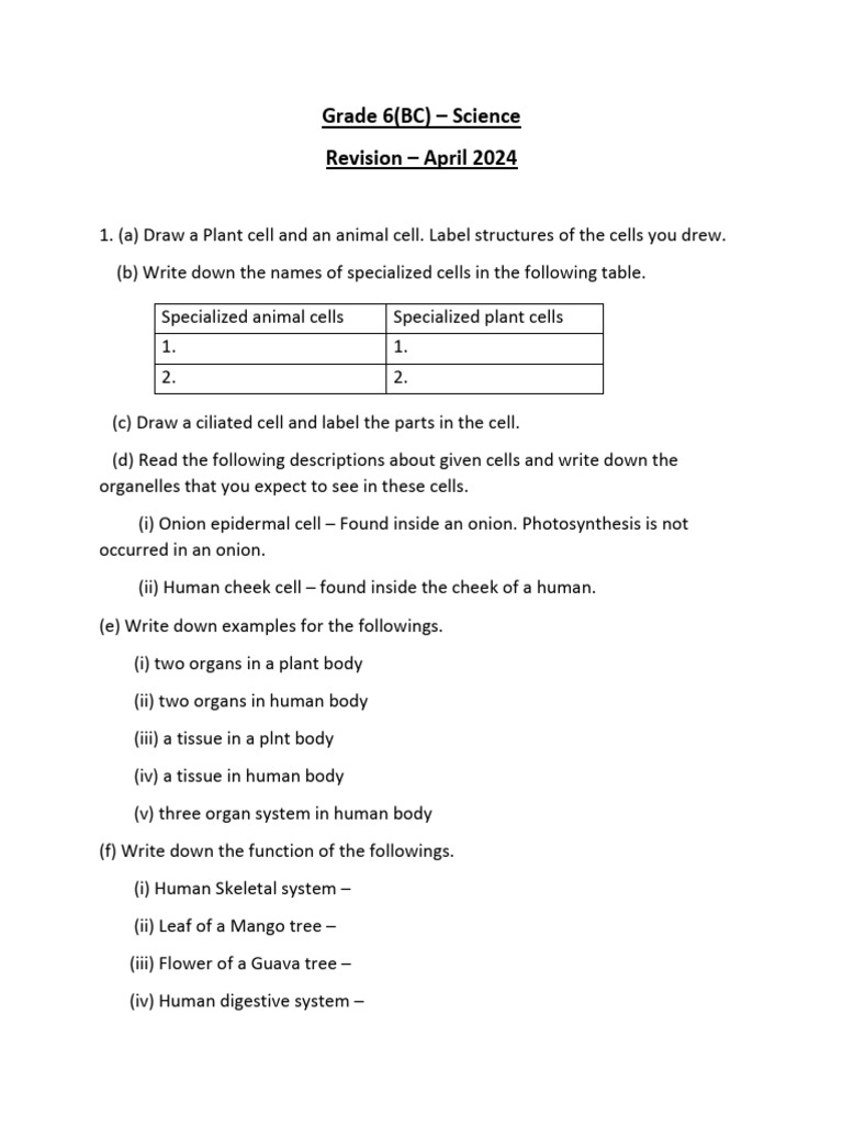 G6 Science Revision Paper | PDF | Tissue (Biology) | Plants