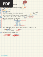 Steps of the Cross Bridge Cycle | PDF | Muscle Contraction ...