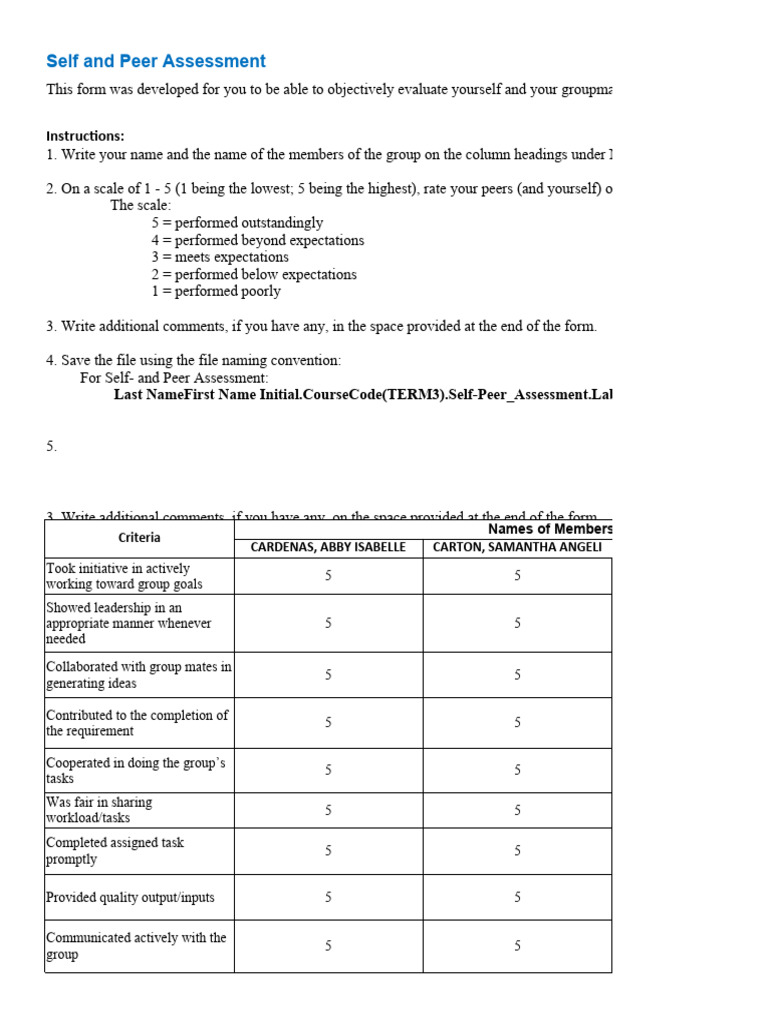 Self and Peer Assessment Form | PDF | Social Psychology | Cognition