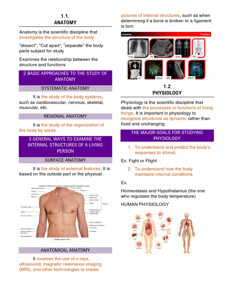 ANAPHYSIO Transes | PDF | Meiosis | Mitosis