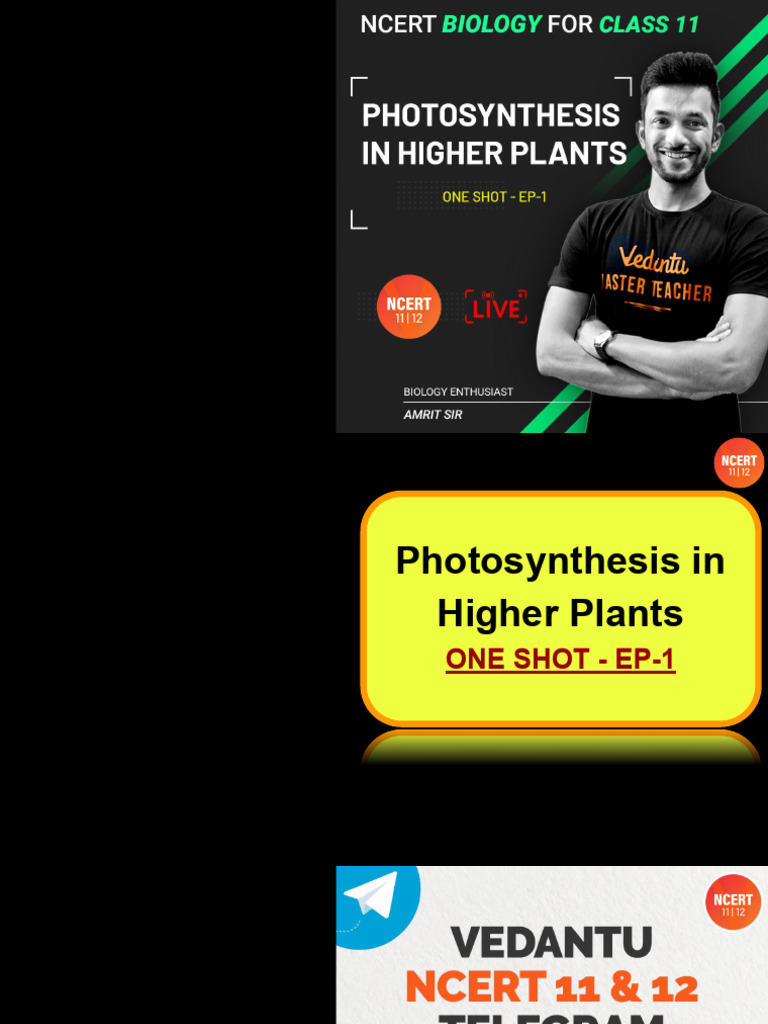 Photosynthesis Process in Plants | PDF | Photosynthesis | Chlorophyll
