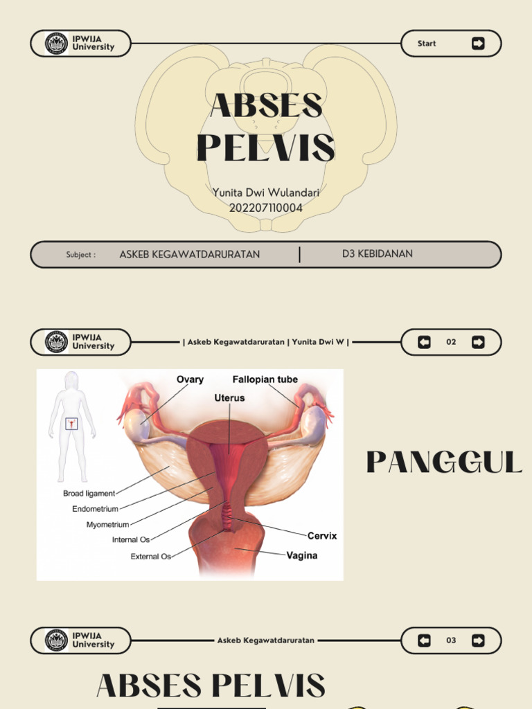 Abses Pelvis (Nita) | PDF