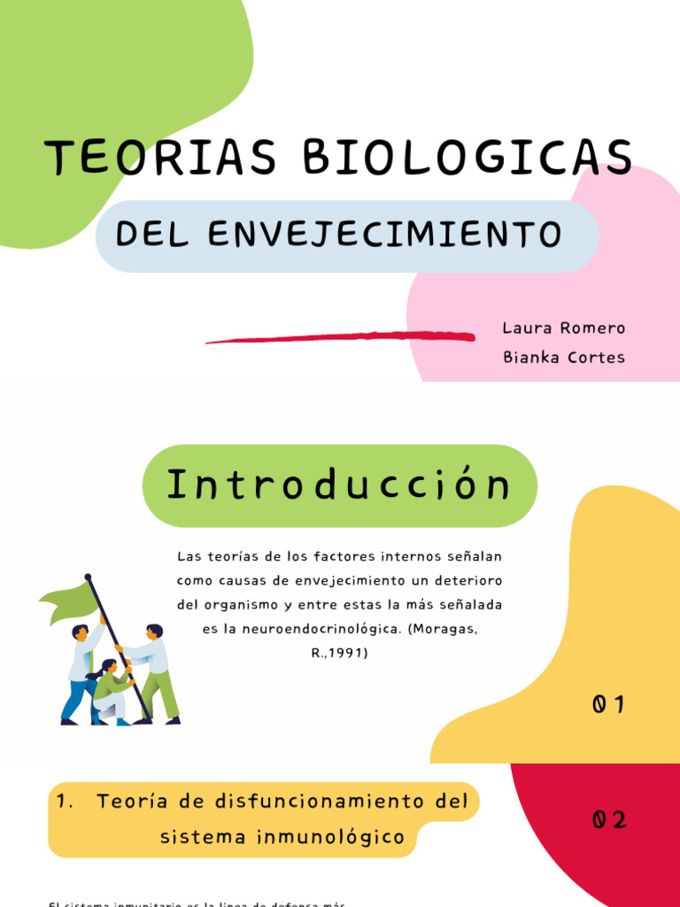 Teorías Biológicas | PDF | Envejecimiento | Sistema inmune