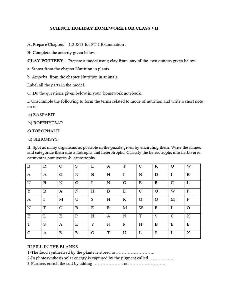 Science Holiday Homework For Class Vii (2024-25) | PDF | Digestion | Foods