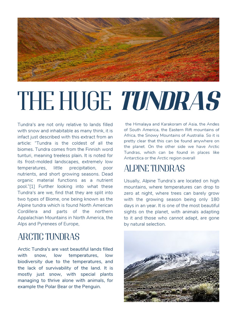 Research Paper On Tundras | PDF | Physical Geography | Earth Sciences