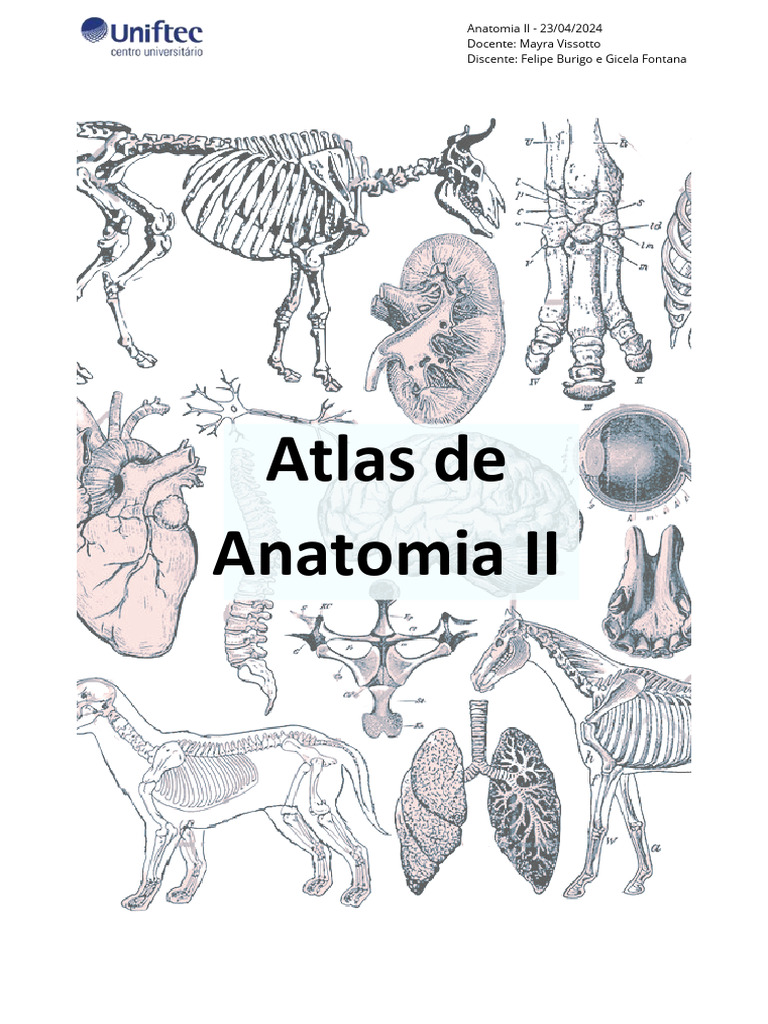Atlas Anatomia II - 1º Parte - 20240424 - 075028 - 0000 | PDF | Cérebro | Telencéfalo
