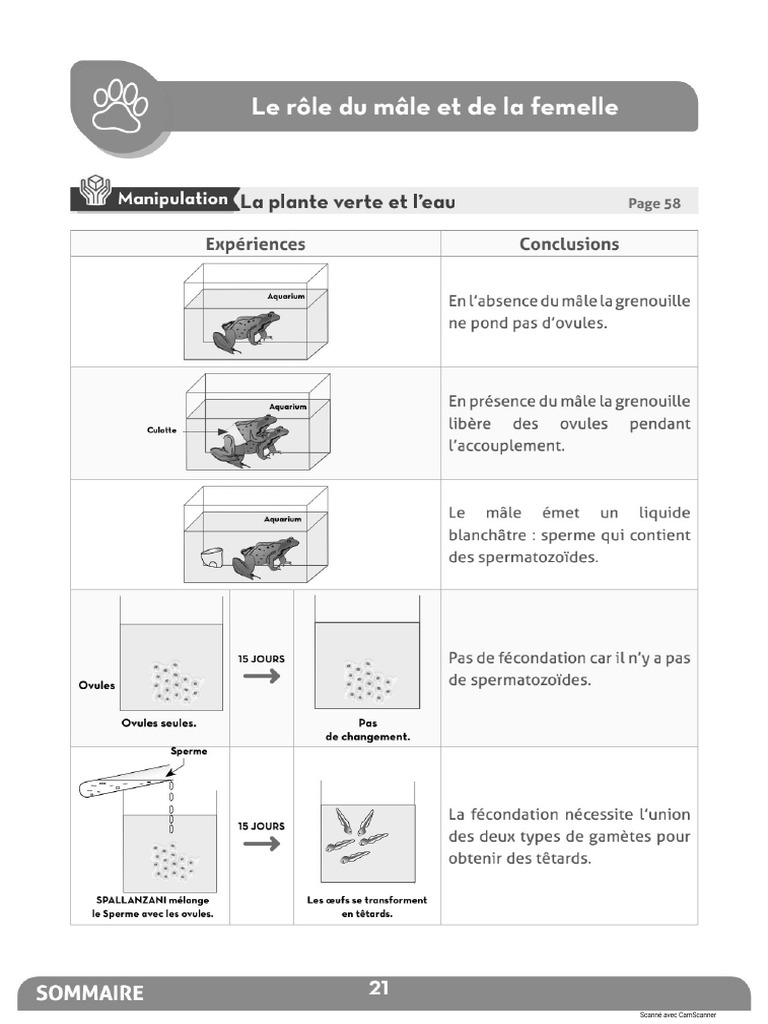 Sigma-Wataik 2ac SVT Guide Biof Guide-Prof | PDF