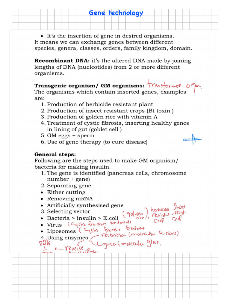 Gene Technology STH | PDF | Gel Electrophoresis | Dna