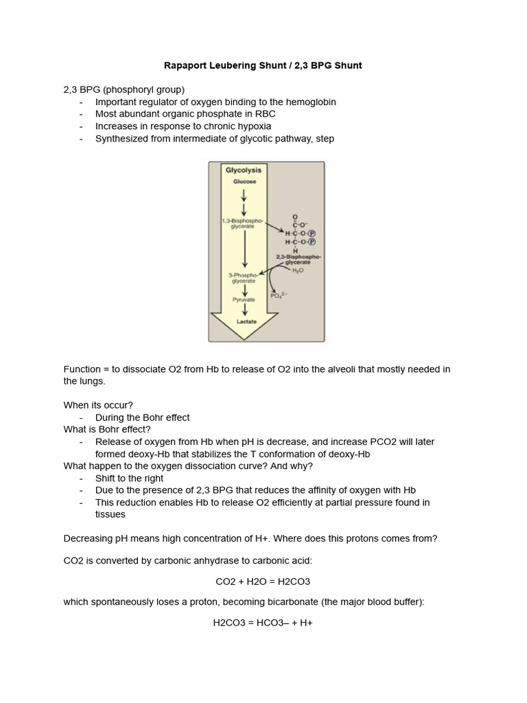 CS - Rapaport-Leubering Cycle - Aisyah D1U | PDF