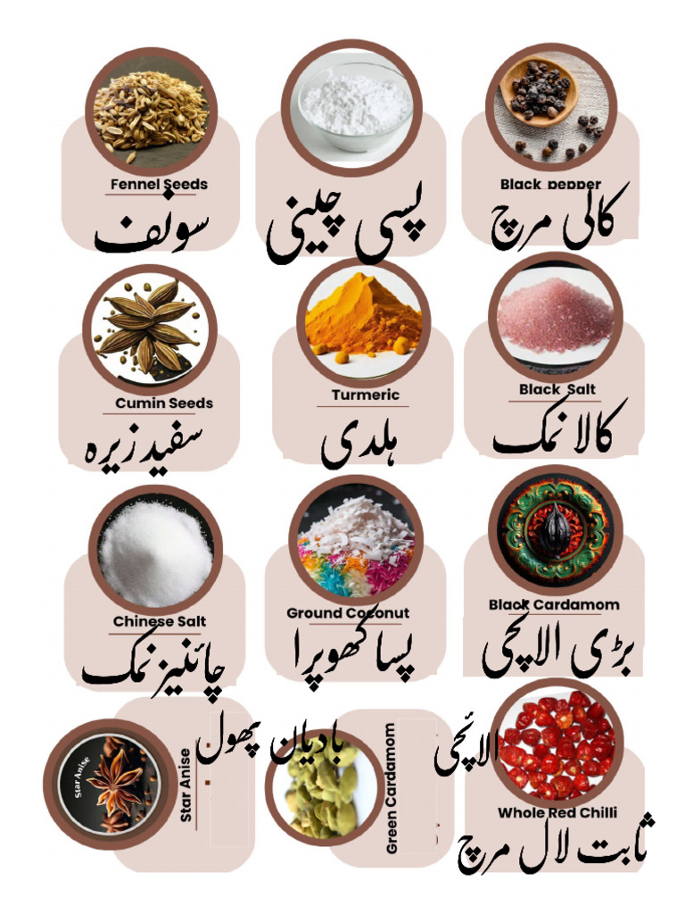 Kitchen Names Color Print English and Urdu Designed by Nazia Siddiqui | PDF