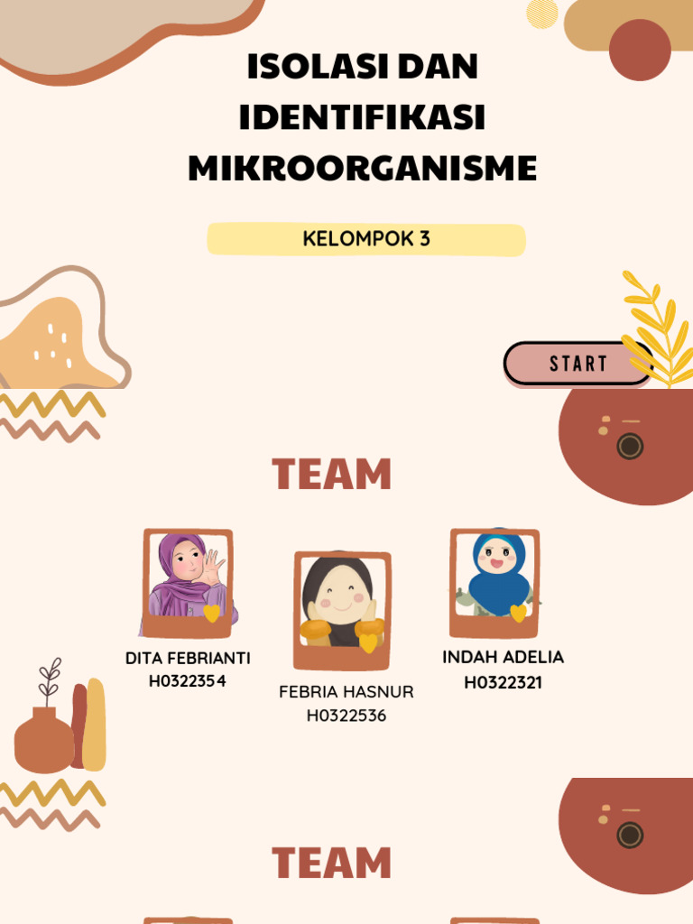 Mikro 3 | PDF