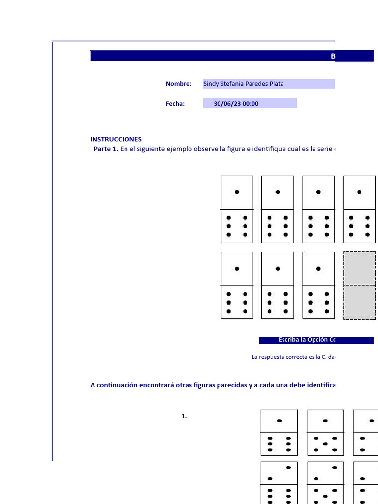 PRUEBAS | PDF | Comunicación humana | Escritura