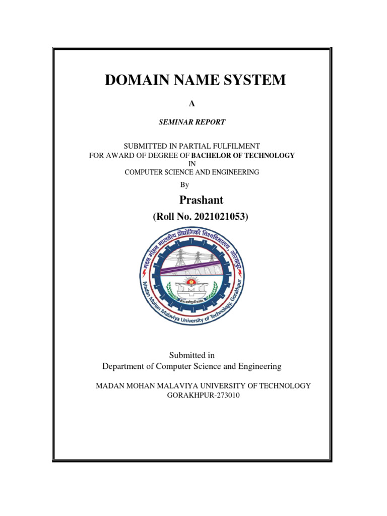 Prashant Report | PDF | Domain Name System | Domain Name
