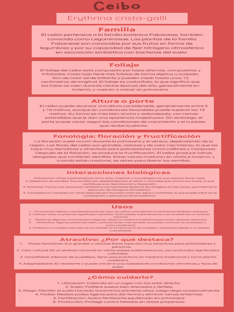 Infografía Sobre El Ceibo | PDF | Hoja | Flores