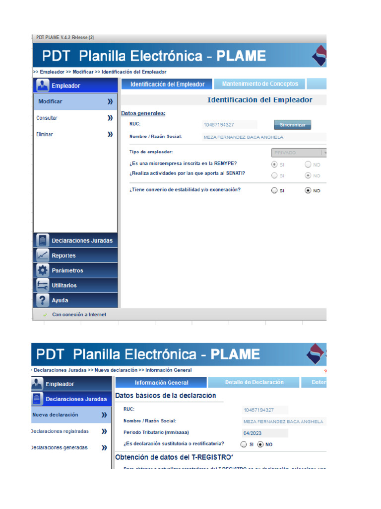 PDT Plame | PDF | Labor